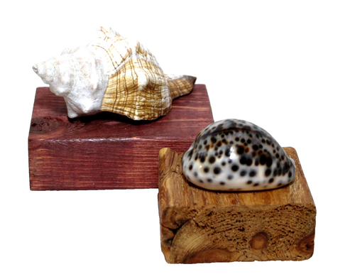 Wood Block Display Stands Riser Brown Stain Set 2 | eBay