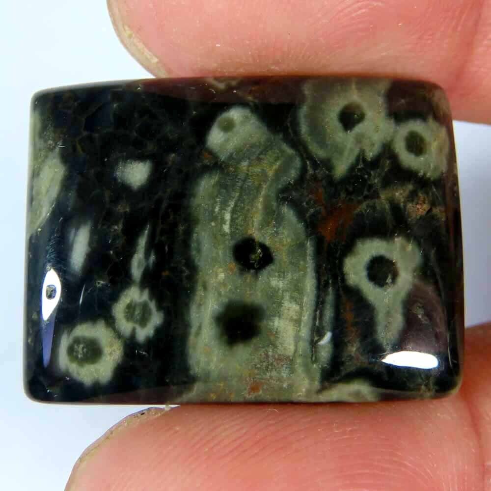 29.25Cts.100%Natural brilliant Ocean Jasper Cushion Cab 19x25x6mm Top ...