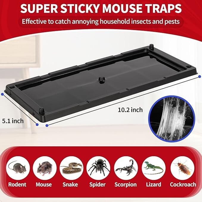 Mouse Glue Traps 6 Packs Large Glue Traps for Mice and Rats Indoor ...