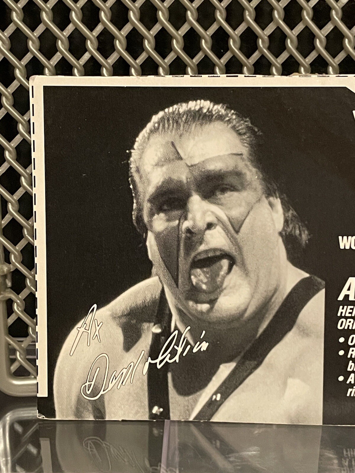 WWE Demolition Ax Hasbro Bio Card Wrestling Used Classic WWF From ...