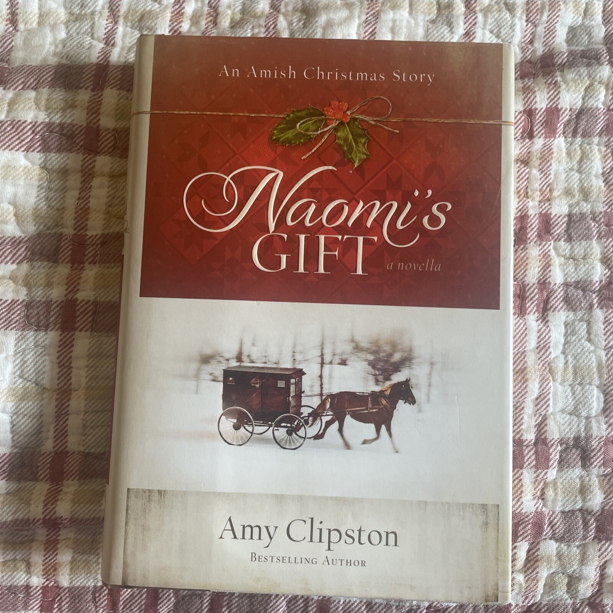 Amy S Christmas Gift