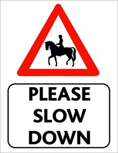 PLEASE SLOW DOWN HORSE RIDING ROAD SAFETY SELF ADHESIVE STICKERS ...