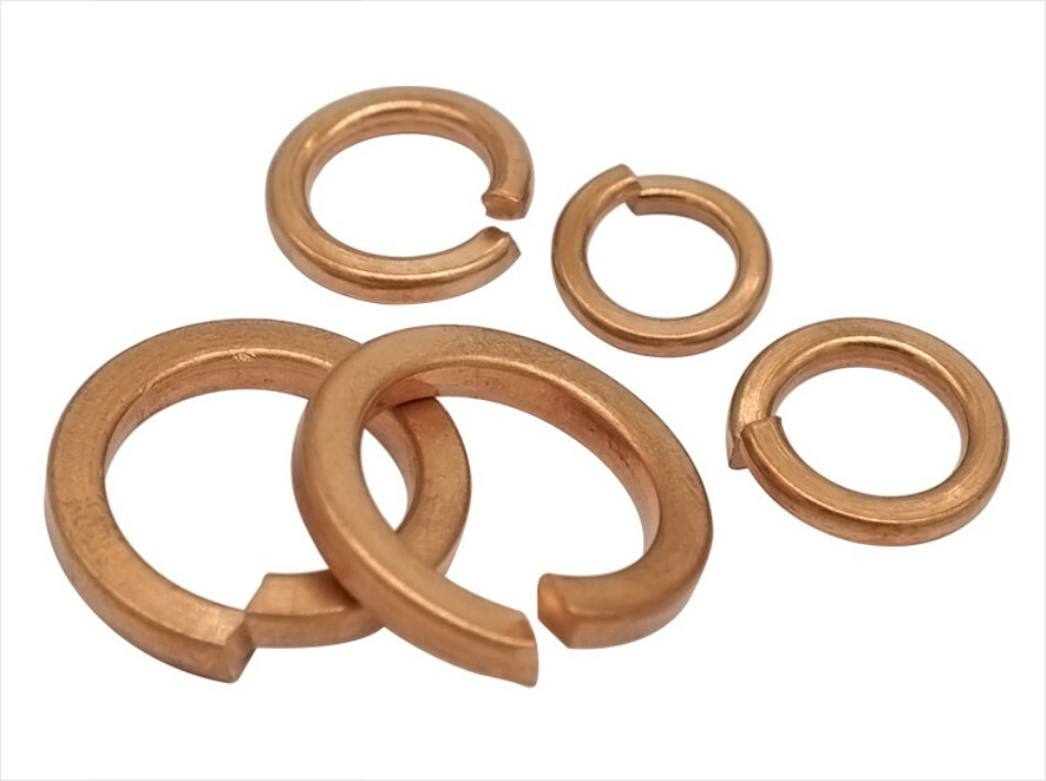 M3 M4 M5 M6 M8 M10 M12 M16 Phosphor Bronze Spring Washers Split Lock ...