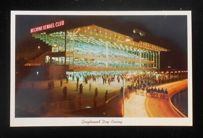 1950s BULLDOZED Biscayne Kennel Club at Night Greyhound Dog Race Miami ...