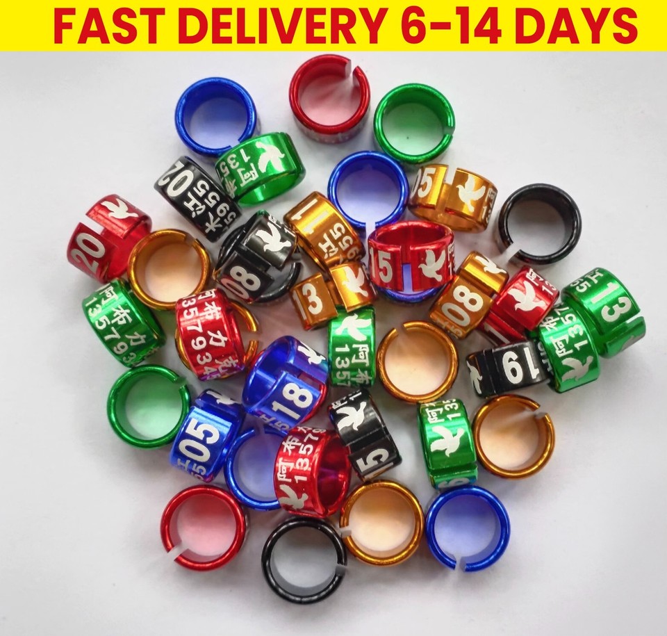 Customerized 50Pcs Birds Rings 8mm Leg Bands Pigeon Parrot Clip Rings ...