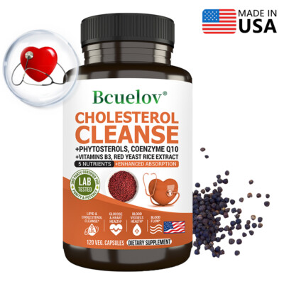 Cholesterol Cleanse - Healthy Heart Blood Vessels Artery Circulation ...
