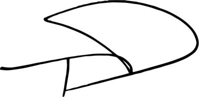 Tom DeLonge Autograph Signature VINYL DECAL STICKER Blink 182 pop punk ...