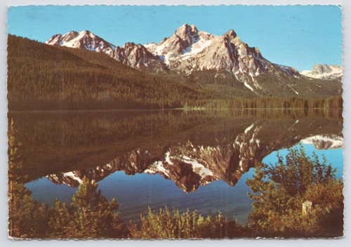 Idaho~Stanley Lake & Basin w/ Mtn Reflection~PM 1976 Continental Postcard | eBay
