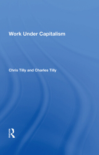 WORK UNDER CAPITALISM by Chris Tilly NEUF 9780367214074 | eBay