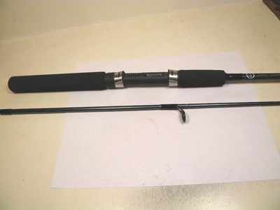 Fly Fishing - Switch Rod