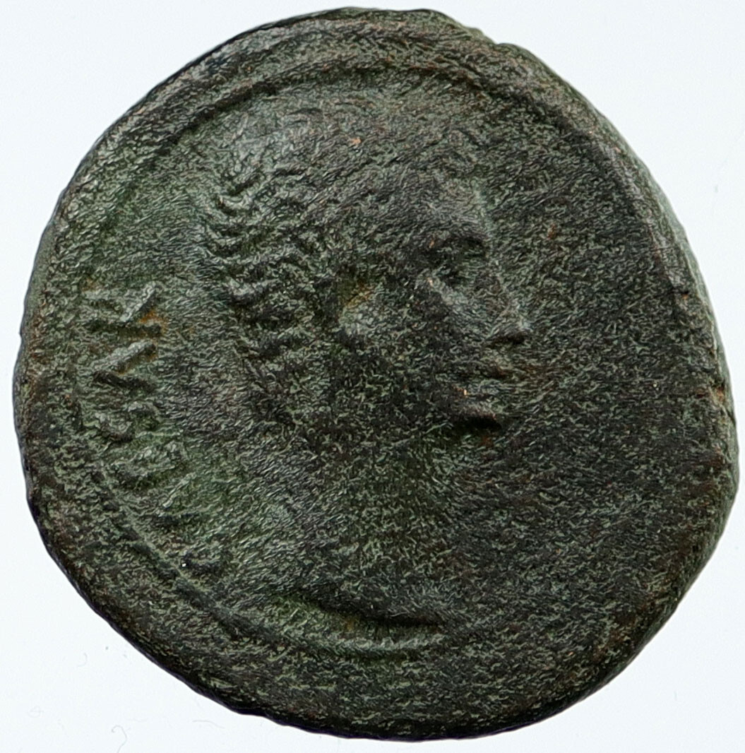 Gaius Asinius Lepidus Rome