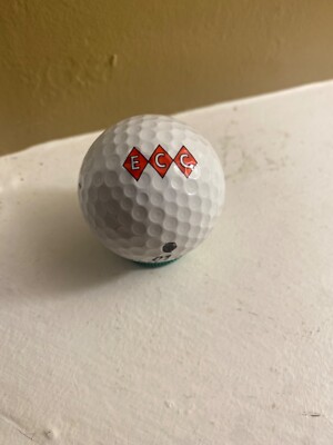 ECC Precept EV Logo Golf Ball | eBay