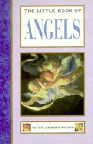 The Little Book of Angels - Hardcover By Wilson, Peter Lamborn - GOOD ...