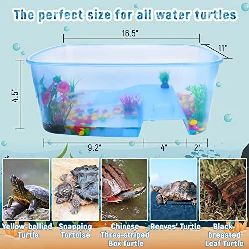 Baby Turtle Tanks