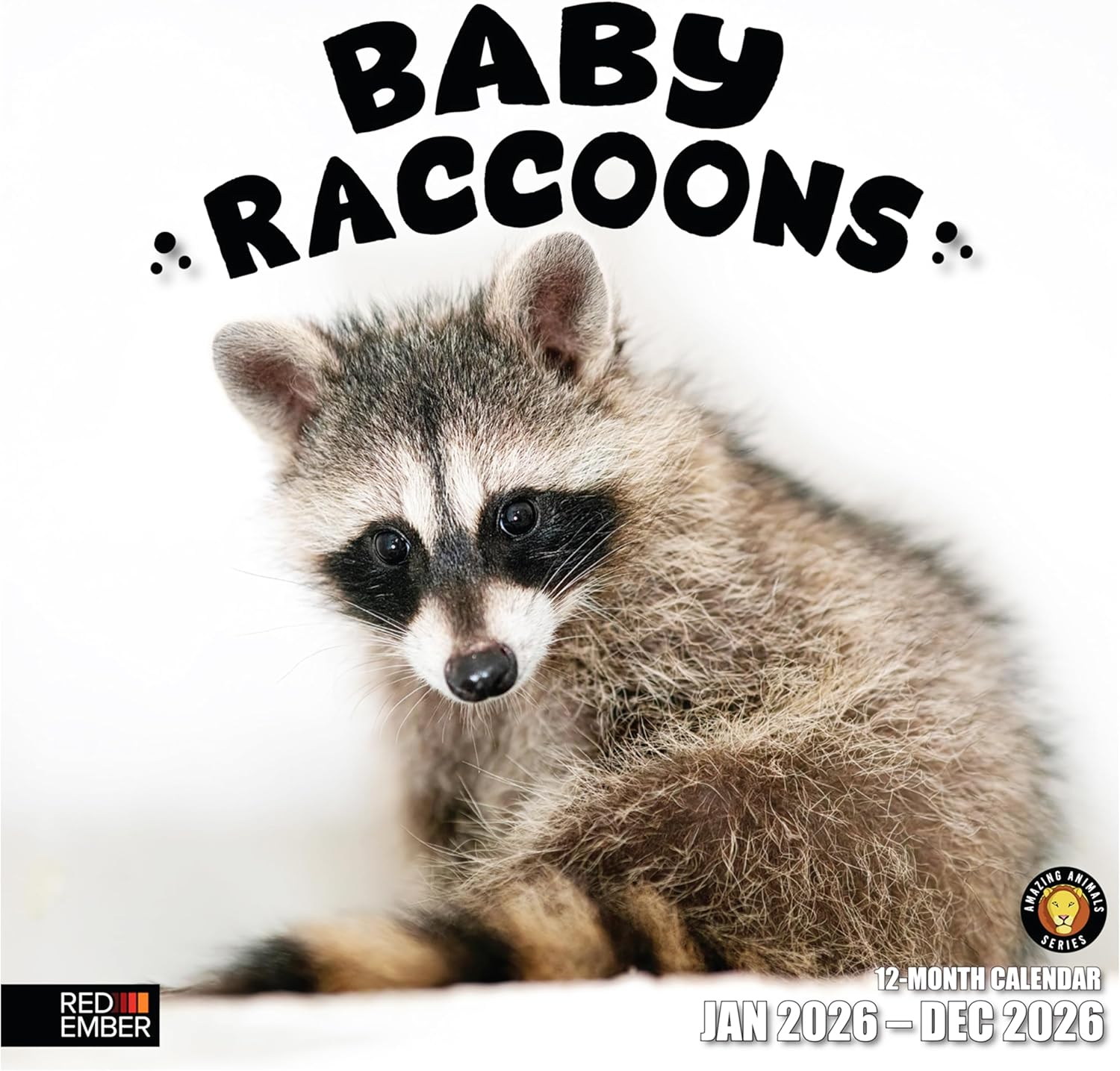 Baby Raccoons 2026 Wall Calendar 12 Month | 12" X 24" Open | Thick ...