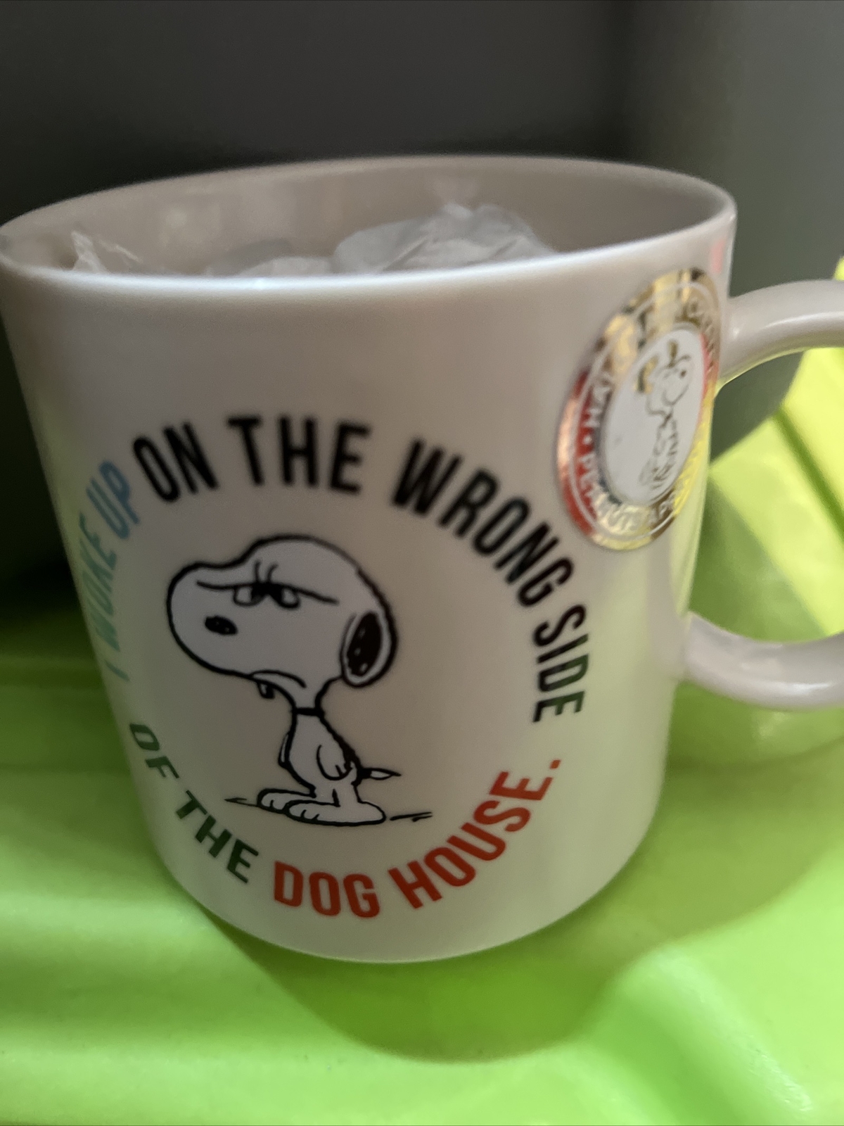 Snoopy I Woke Up On The Wrong Side Of The Dog House Hallmark Peanuts ...