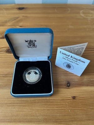 1988 Silver Proof One Pound Coin in box | eBay UK