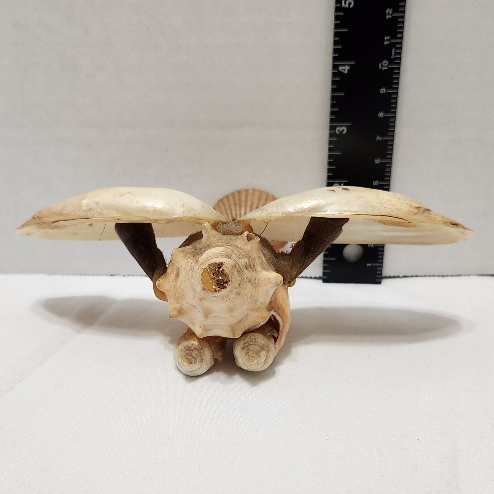 Vintage Hand Crafted Sea Shell Airplane Sculpture Figurine | eBay