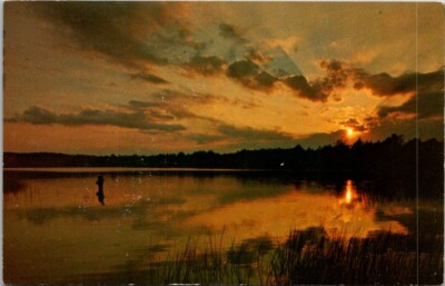 Cape Cod MA Dennis Scargo Lake Sunset 1970s Vintage Postcard | eBay