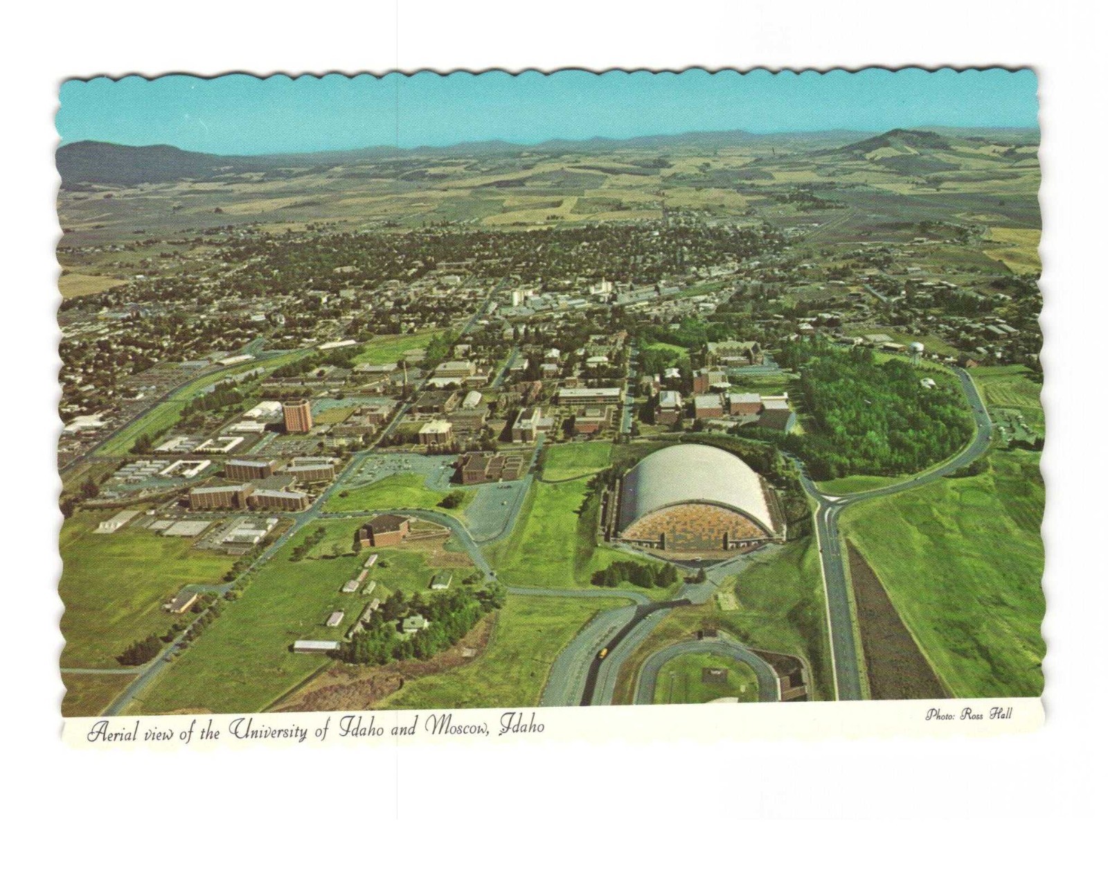 The Spacious Kibby Dome Athletic Center Vintage Postcard Unposted | eBay