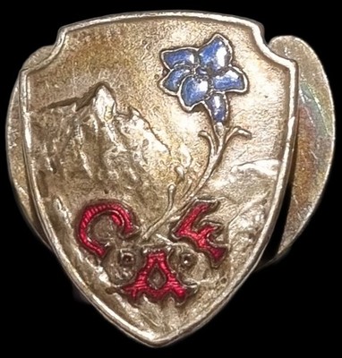 CAF Badge | eBay