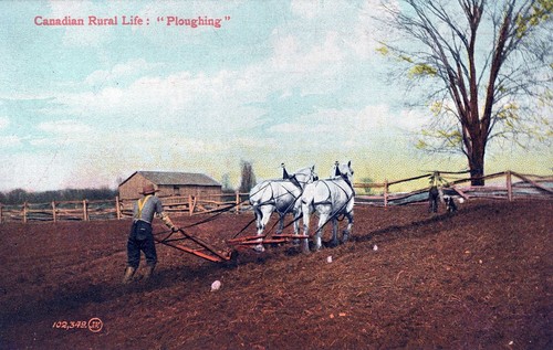 CANADA - Ploughing Canadian Rural Life Postcard | eBay