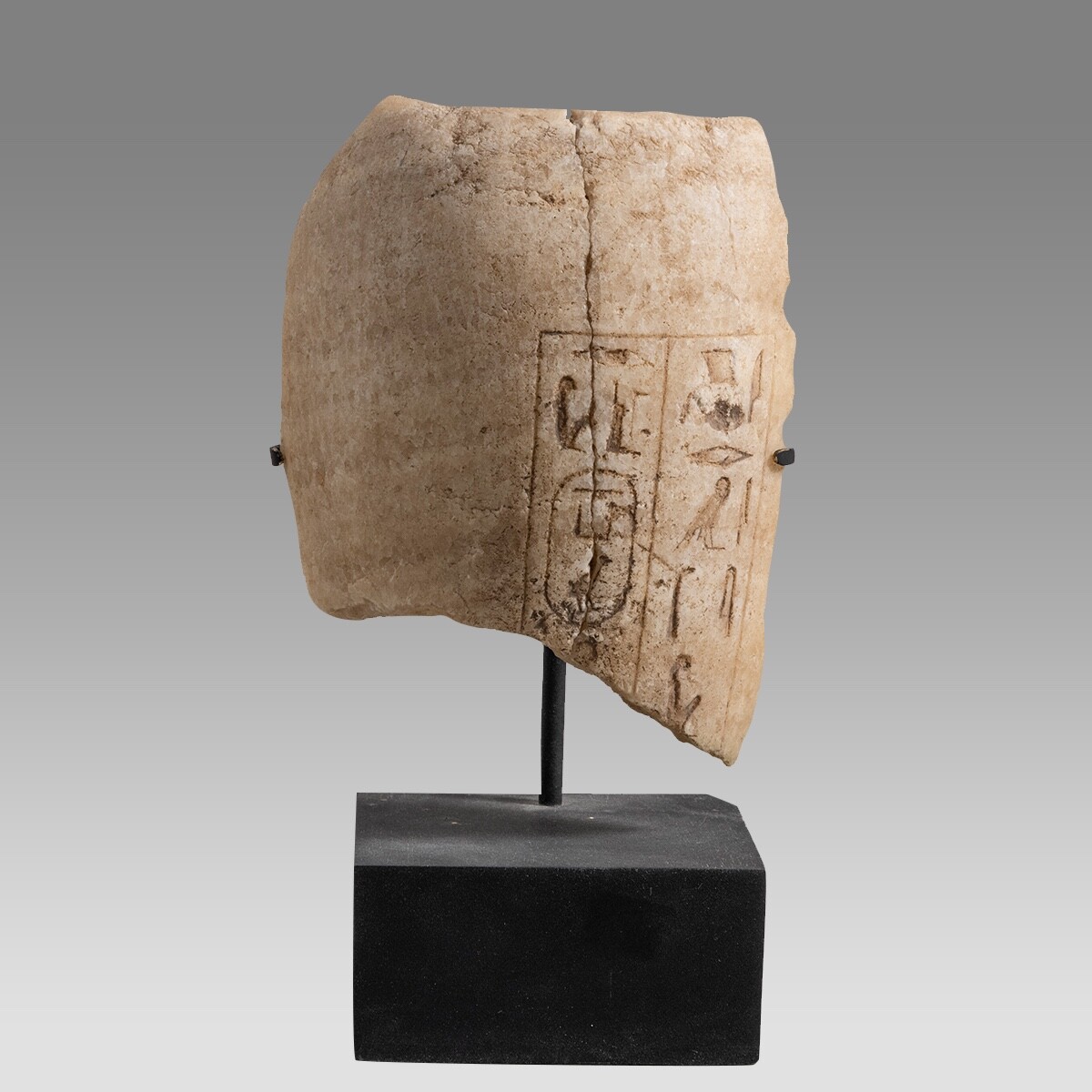 Cartouche Egyptian Ancient Canopic Jar Jackal Stores Headed God