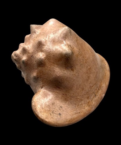 Pre-Columbian, Mexico, Colima Conch Shell Vessel. Aztec, Olmec, Maya ...
