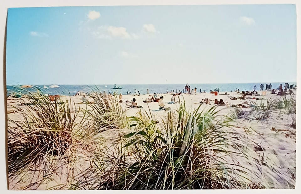 Vintage Surf Drive Beach, Falmouth, Cape Cod, Ma Post Card | eBay