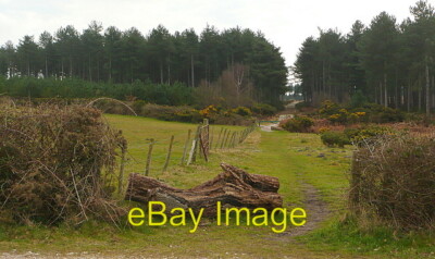 Photo 6x4 Crossroads near Ower Farm Bushey 2 c2011 | eBay UK