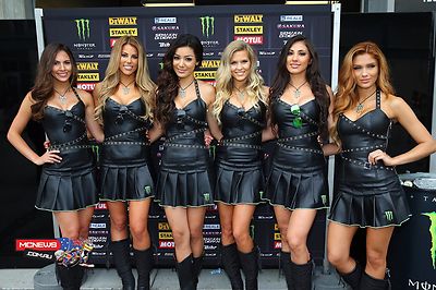 NASCAR SUPERSTARS THE MONSTER ENERGY GIRLS 8X10 PHOTO W/BORDERS | eBay