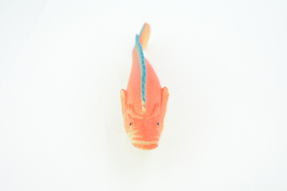 Red Snapper Toy, Realistic Rubber Fish, Figure, Model, Replica 4 1/2 ...