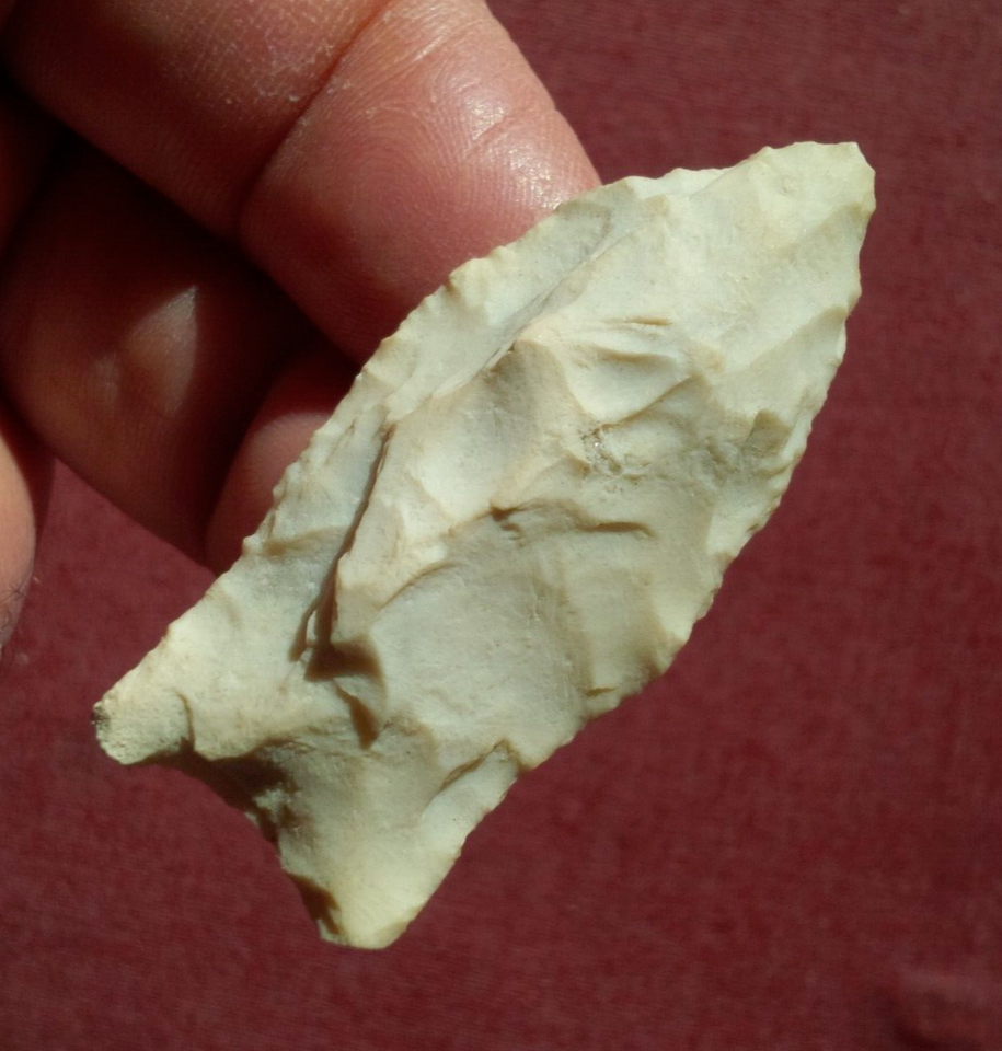 2" PALEO SIMPSON FLORIDA ARROWHEAD Authentic Indian Artifact AUTHENTIC ...