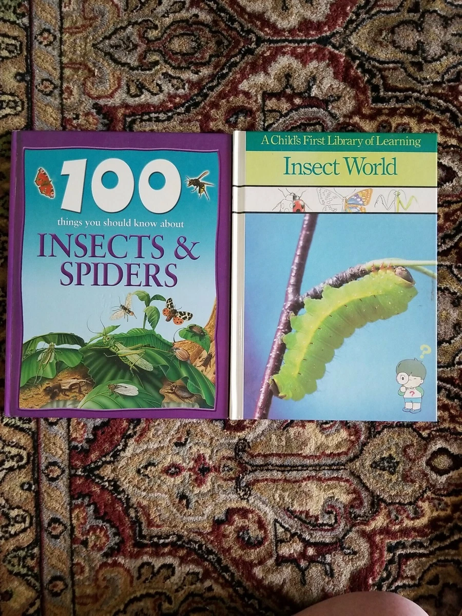 Insects And Spiders Book