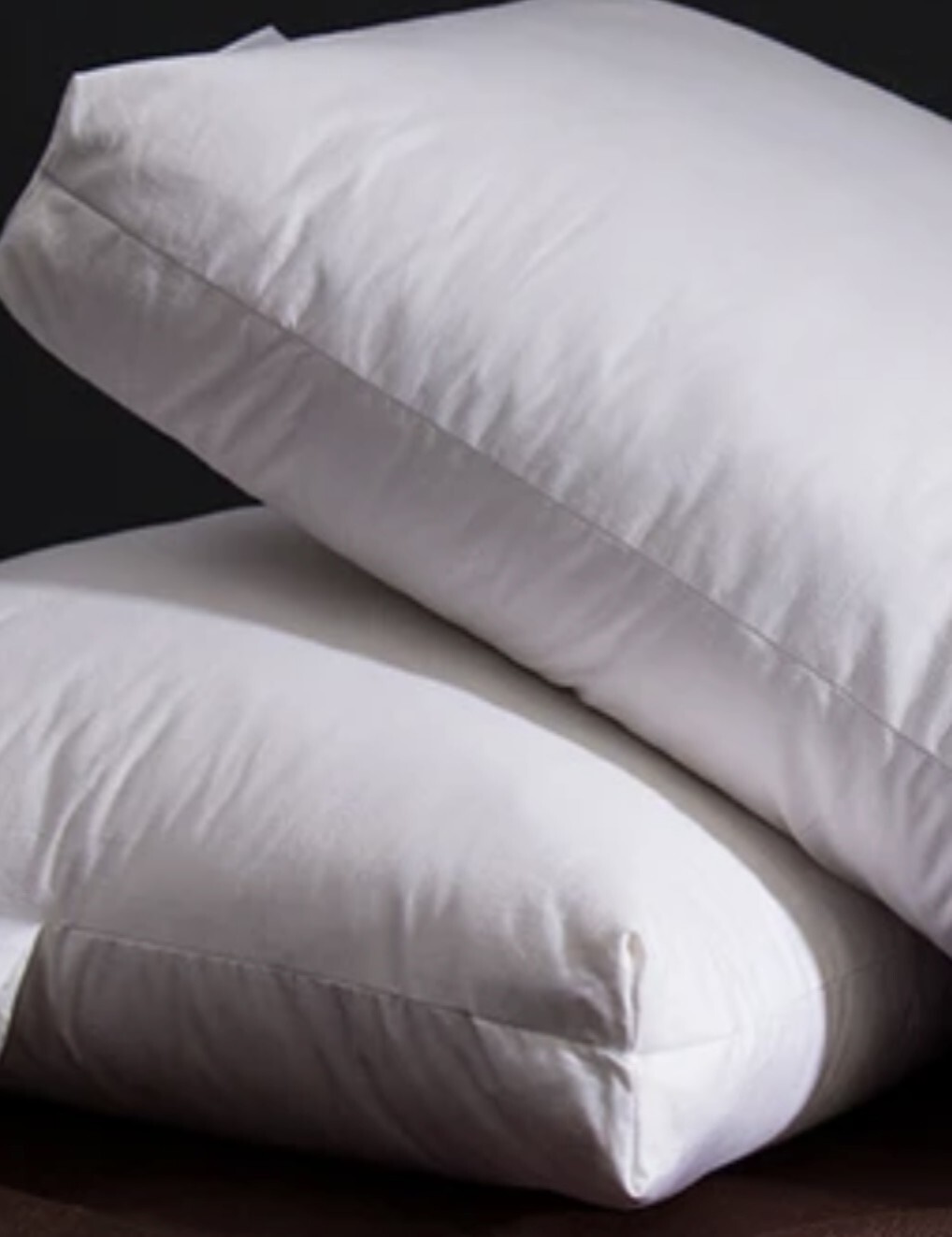 Luxury Goose Feather 60% & Down 40% { New Box Pillow } Hotel Quality {1 ...