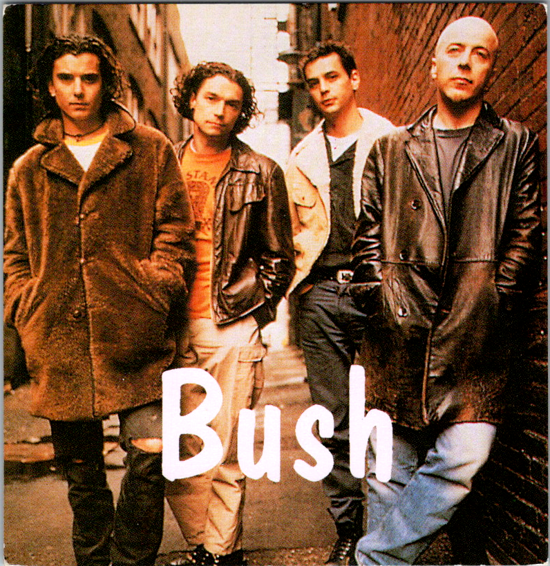 Bush Black Dog 1995 Rock Music Band 4 x 4 Promo Card Record Store New ...