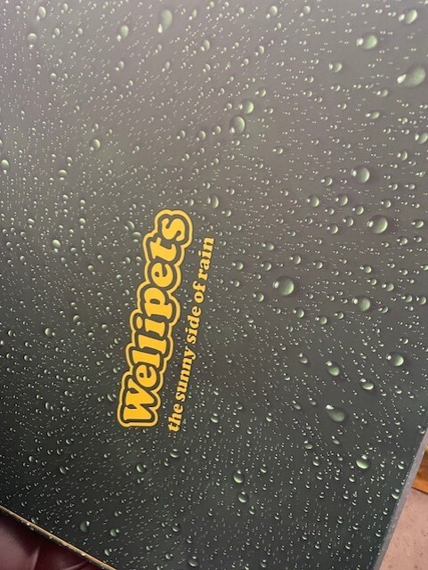 BNWT Rare Wellipets Adult Frog wellies wellington Boots Rare UK 7 ...