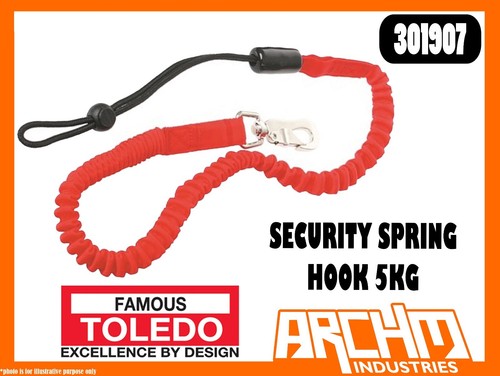 TOLEDO 301907 - SECURITY SPRING HOOK - 5KG - MAX EXTENSION 1400MM ...