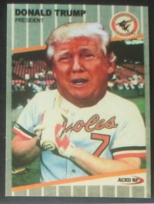 DONALD TRUMP - 1989 Fleer Style Billy Ripken FF ACEO Baseball Card Plus ...