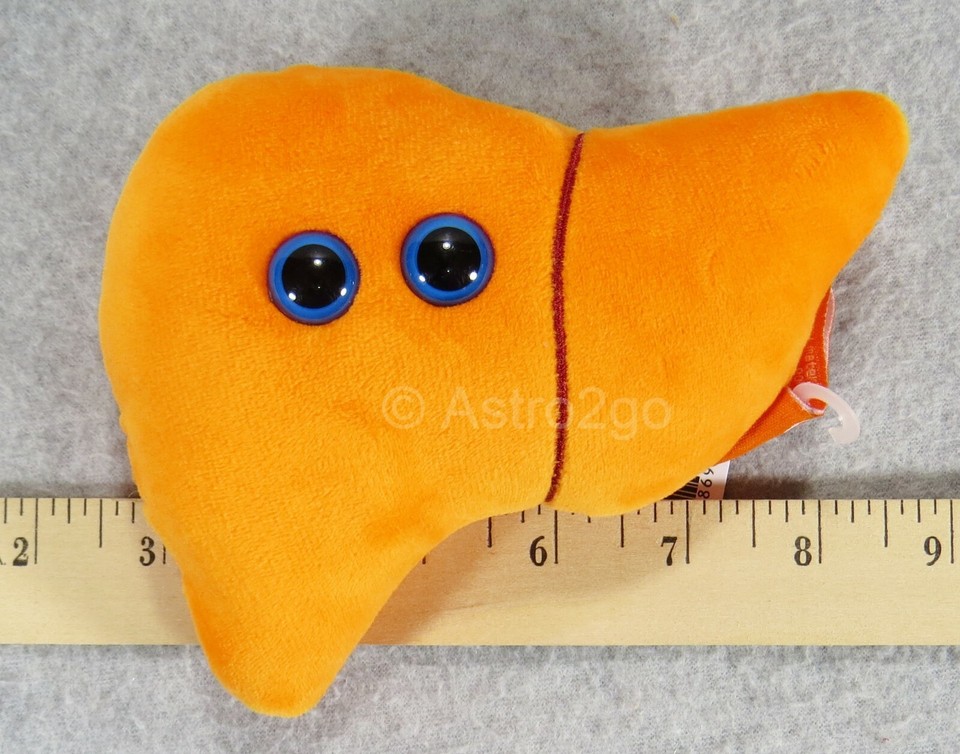 GIANT MICROBES-LIVER-Stuffed Plush Digestive Immune Endocrine Bile ...