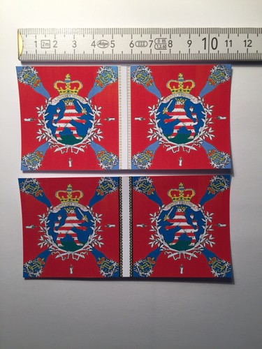 1242) 2x 54mm 1/32 Hessian Hessen AWI Flags Leib&Kompaniefahne Regiment ...