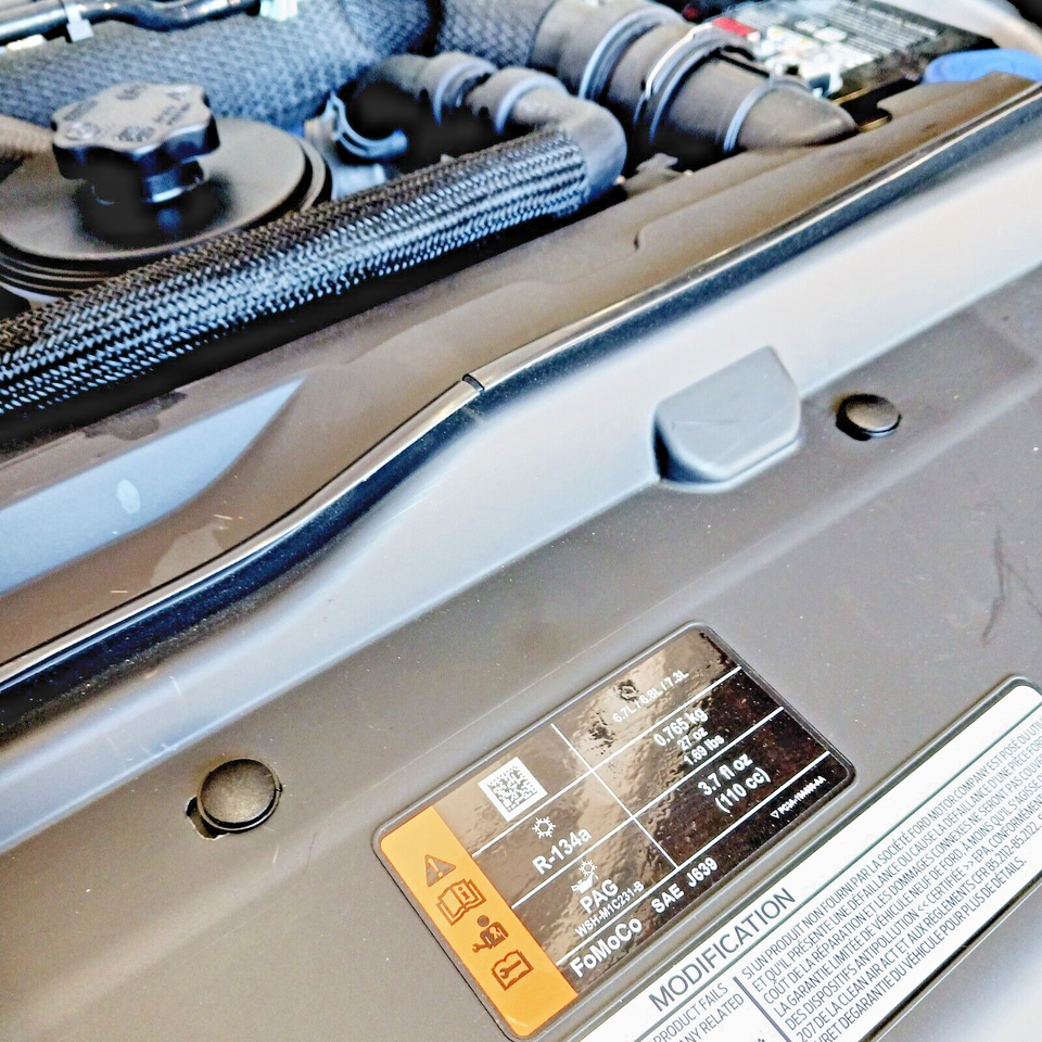 Genuine Ford Radiator support cover rivet / clips W718775S3 (M8x2.5x5 ...