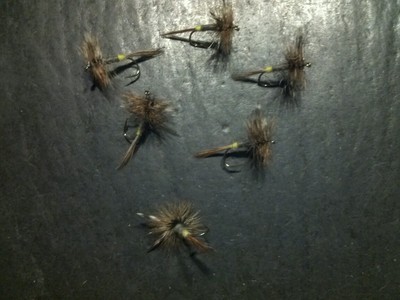 6 FEMALE ADAMS SIZE 12 LIGAS FLY FISHING FLIES | eBay