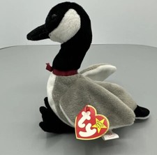 Loosy the Canadian Goose - Beanie Babies - Beaniepedia