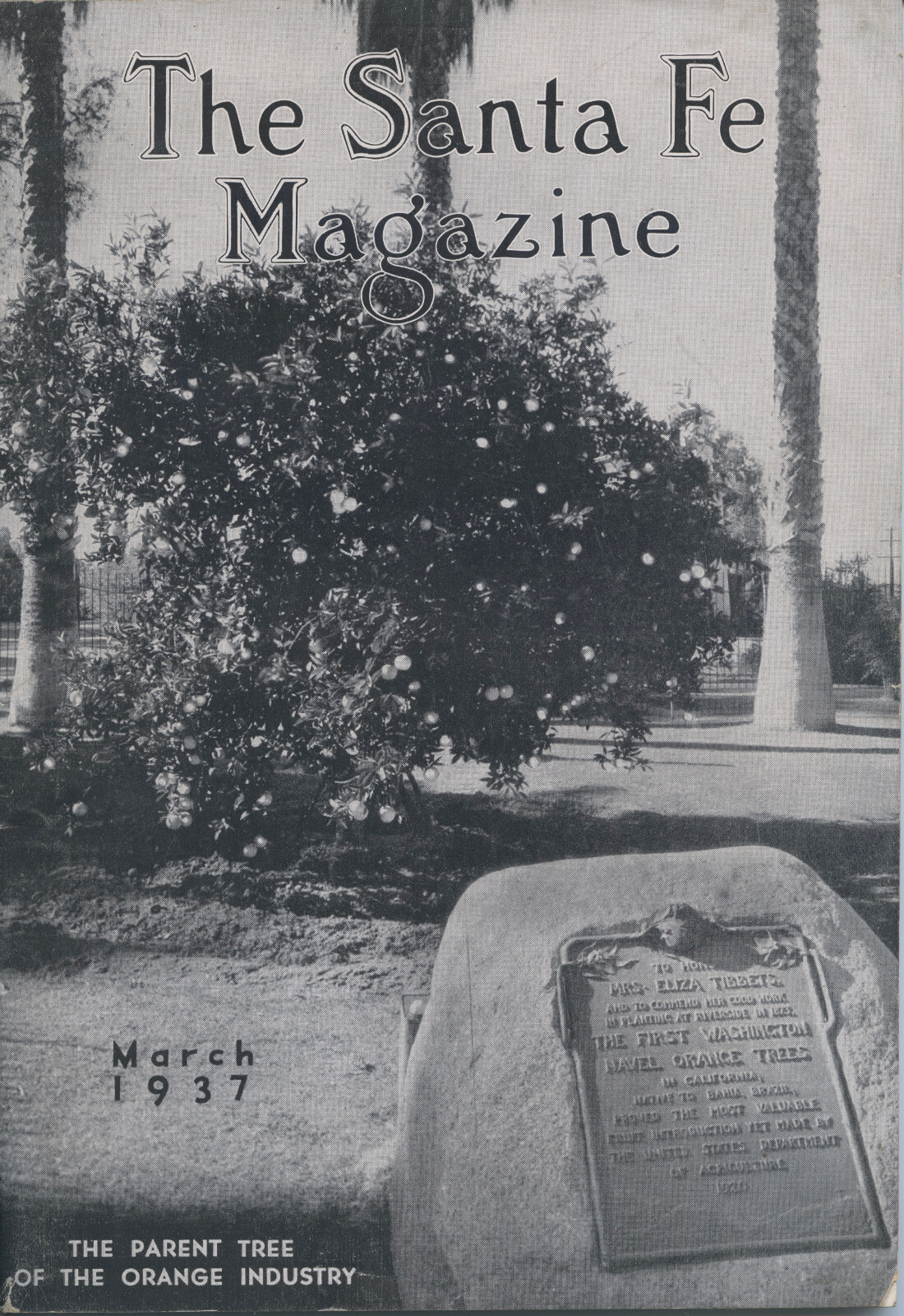The Santa Fe Magazine - March 1937 - The Parent Tree of the Orange ...