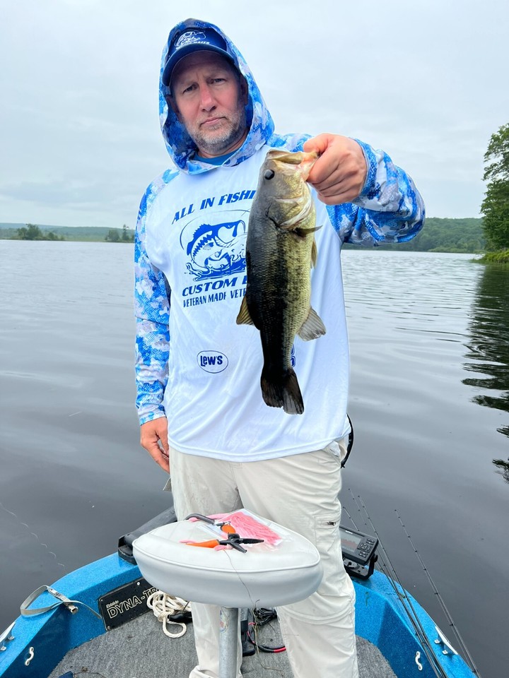 10ct 4” Hula Grub June Bug for fishing/ Bass Fishing lure | eBay