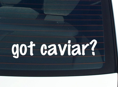 got caviar? CAR DECAL BUMPER STICKER VINYL FUNNY JOKE WINDOW | eBay