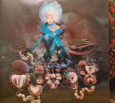 Björk Fossora 2 LP Clear Vinyl & Book & Inners UK 2022 One Little Ind ...