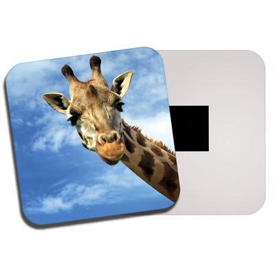 Funny Giraffe Fridge Magnet - Wild Animal Africa Safari Cute Kids Fun ...