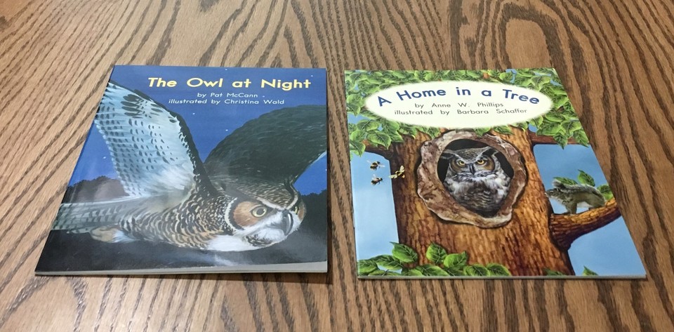 LOT OF 10 LEVELED READERS / FOUNTAS & PINNELL LITERACY / ORANGE SYSTEM ...